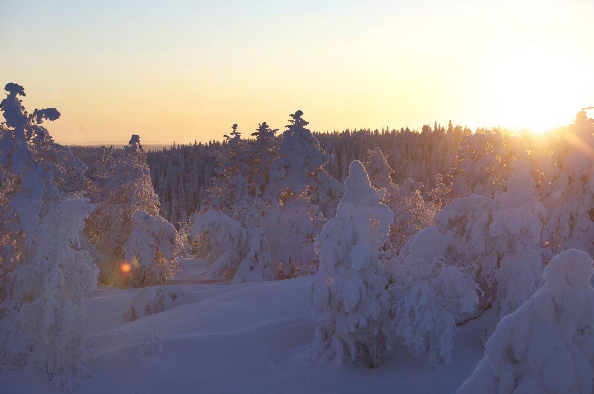 Accommodations – Vuokatti Safaris EN